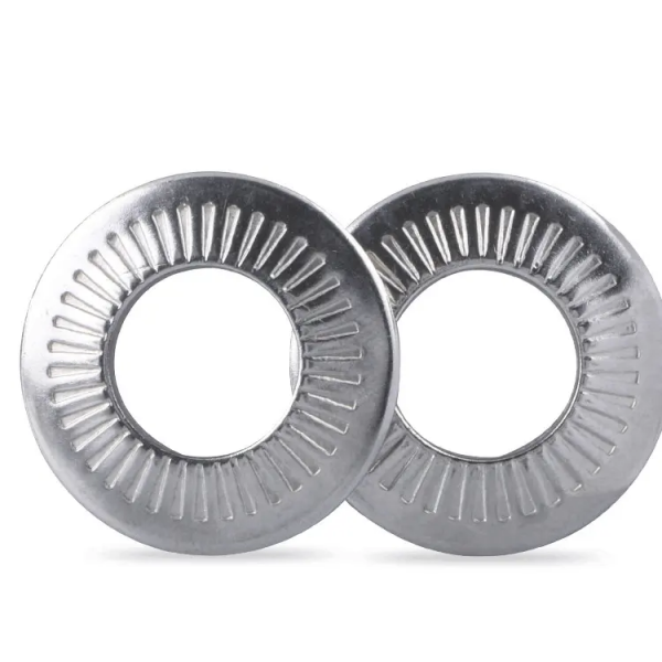 Spring Washers Supplier Exporter in China-Teng Qi